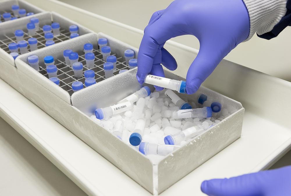 Dry Ice for Medical Use | Medical Dry Ice Supplier in Saudi Arabia